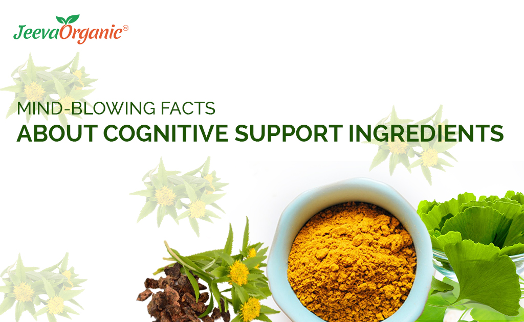 Cognitive Supplements: Mind-Blowing Revelations